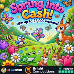 Home - Bright Competitions